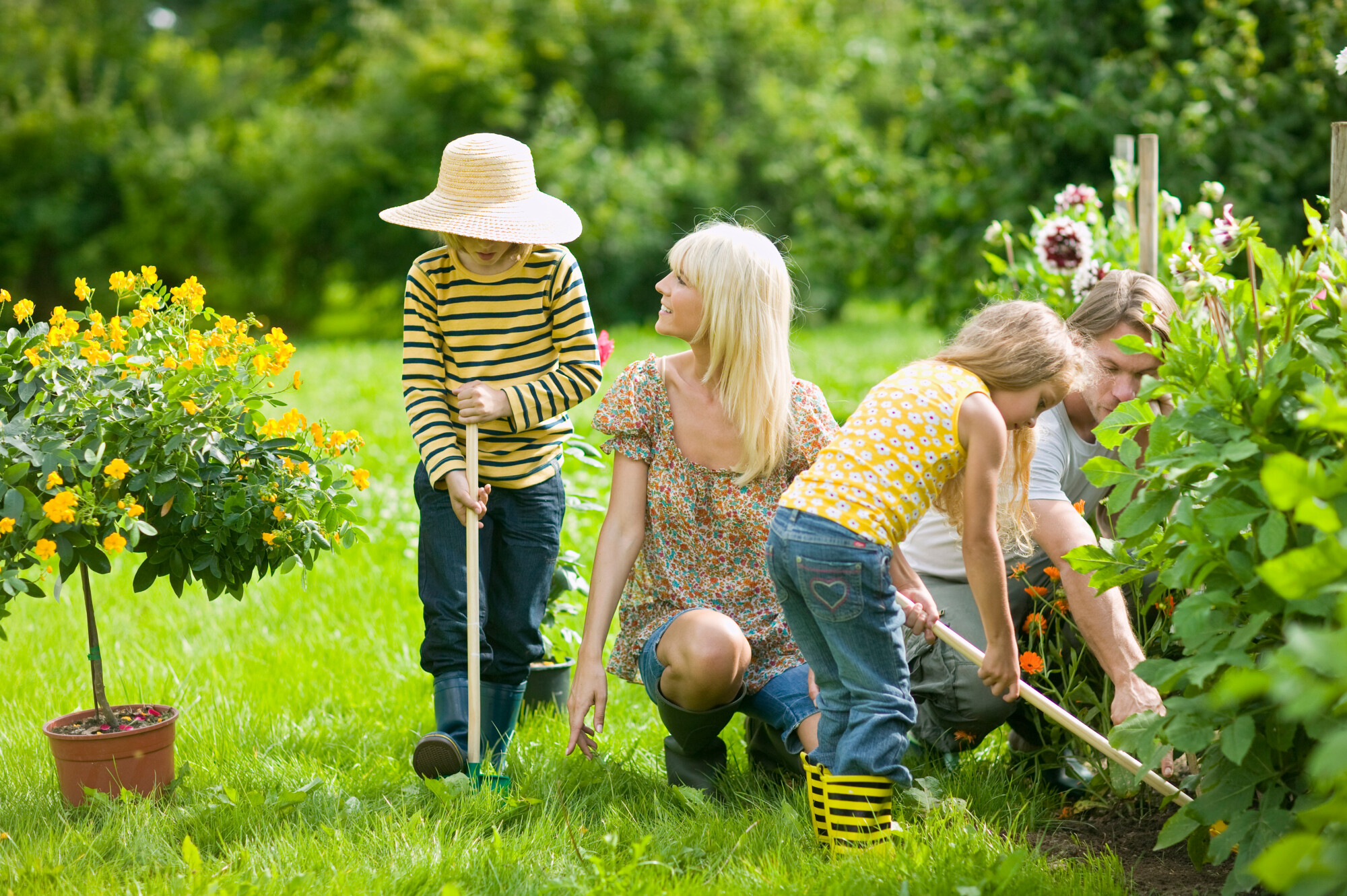 Weed Control Mistakes Green Lawn Fertilizing Weed Control Mistakes Green Lawn Fertilizing